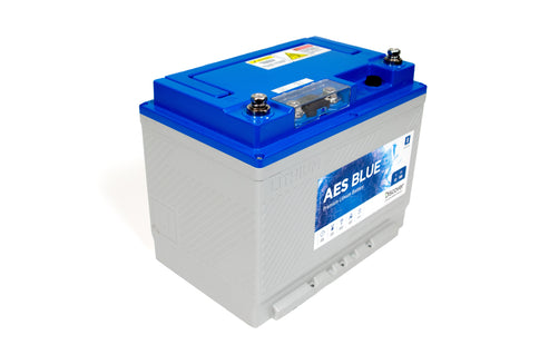 Discover 12v Lithium Blue 100Ah Battery with Heat – Future Sales LLC